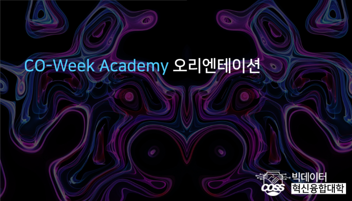 슬기로운 CO-Week 생활 | 빅데이터 혁신융합대학